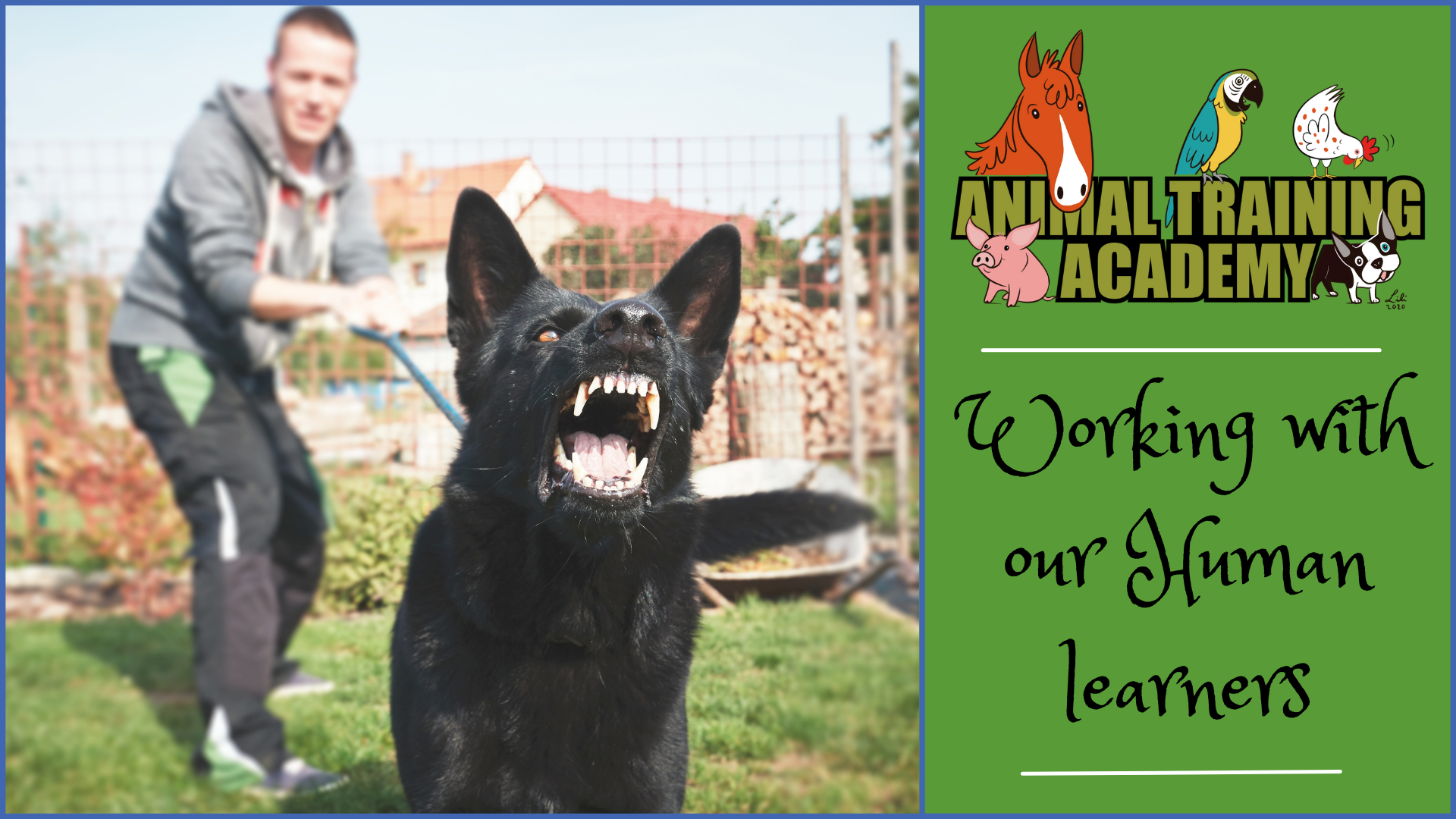 [Animal Training Consults] Ideas for working with your human learners ...