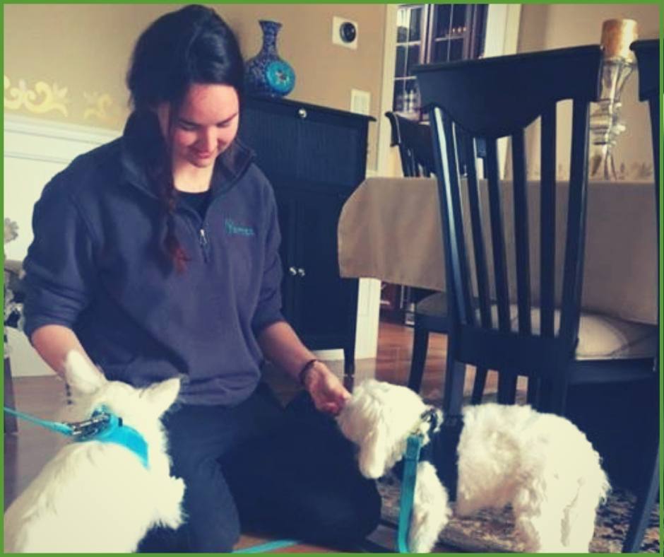 Allie Bender; Canine Enrichment for the Real World (Part 2) [Episode ...