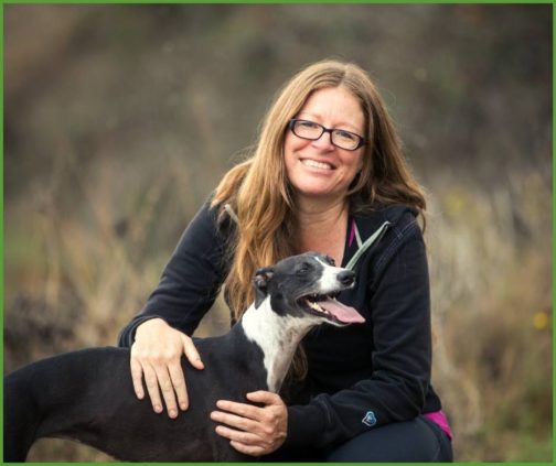 Amy Cook, PhD – ‘The Play Way’ [Episode 134] | Animal Training Academy