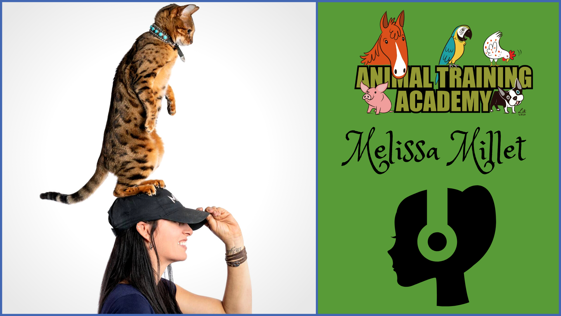 Melissa Millet – The Ultimutts; Part 2 [Episode 177] | Animal Training AcademyAnimal Training ...