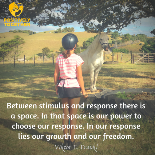 Bex Tasker – Positively together [Episode 102] | Animal Training Academy