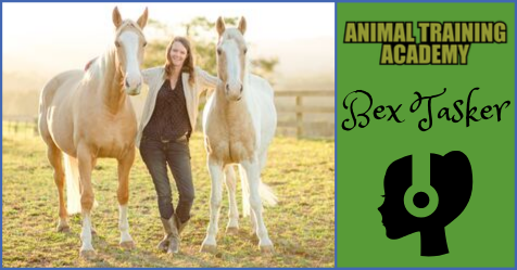 Bex Tasker – Positively together [Episode 102] | Animal Training Academy