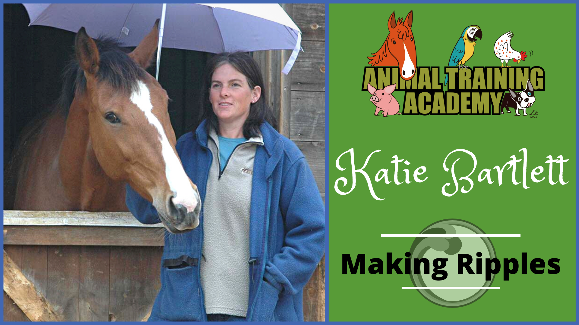 Katie Bartlett – Equine Clicker Training [Episode 25] | Animal Training AcademyAnimal Training ...