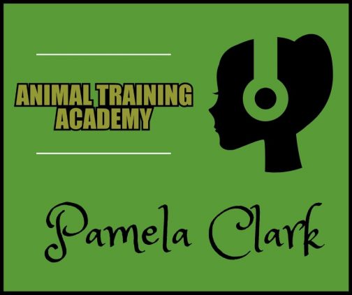 Pamela Clark – 10 things parrot consultants need to know in 2019 ...