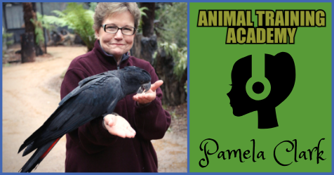 Pamela Clark – 10 things parrot consultants need to know in 2019 ...
