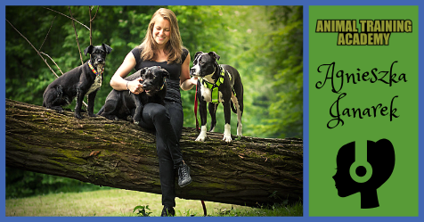 Agnieszka Janarek – Changing training culture [Episode 88] | Animal ...