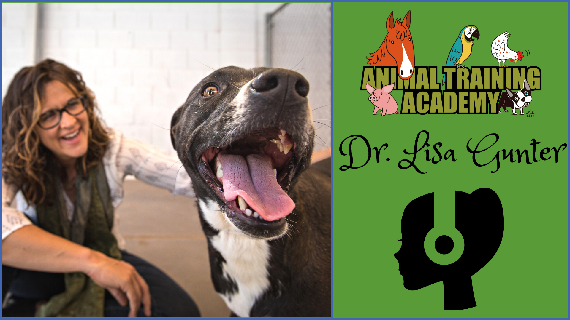 Dr. Lisa Gunter – Assistant Professor [Psychology] at Coastal Carolina University; Part 1 ...