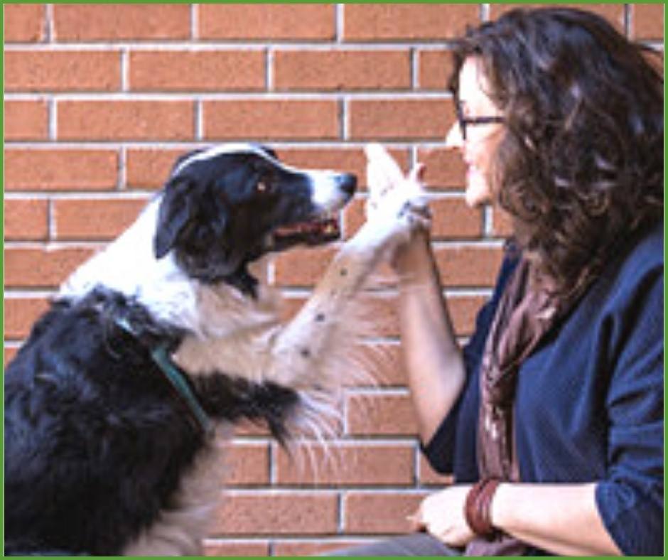 Dr. Lisa Gunter – Assistant Professor [Psychology] at Coastal Carolina ...