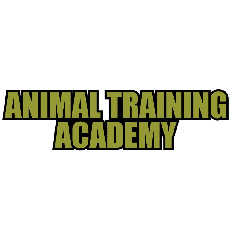 Animal Training Academy animal-training-academy