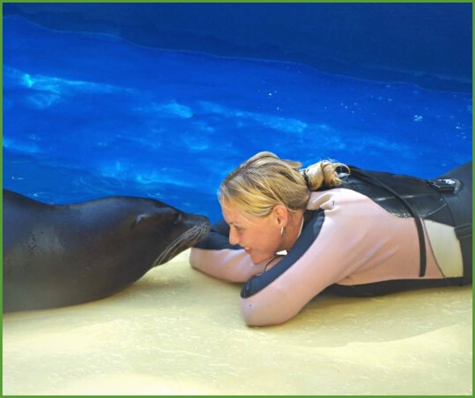 Nikki Morrison; Animal Training Toolkit – Part 1 [Episode 187] | Animal ...