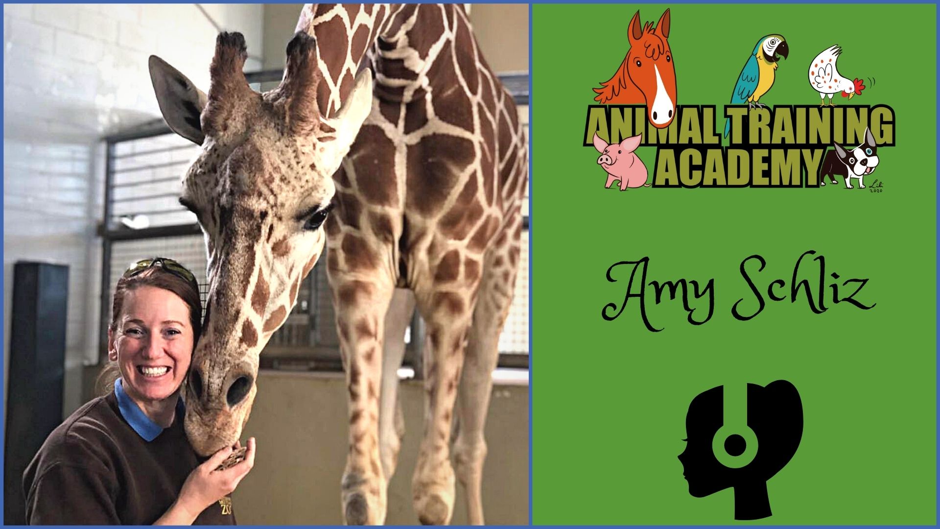 Amy Schliz; Giraffe conservation & training [Episode 189] | Animal Training AcademyAnimal ...