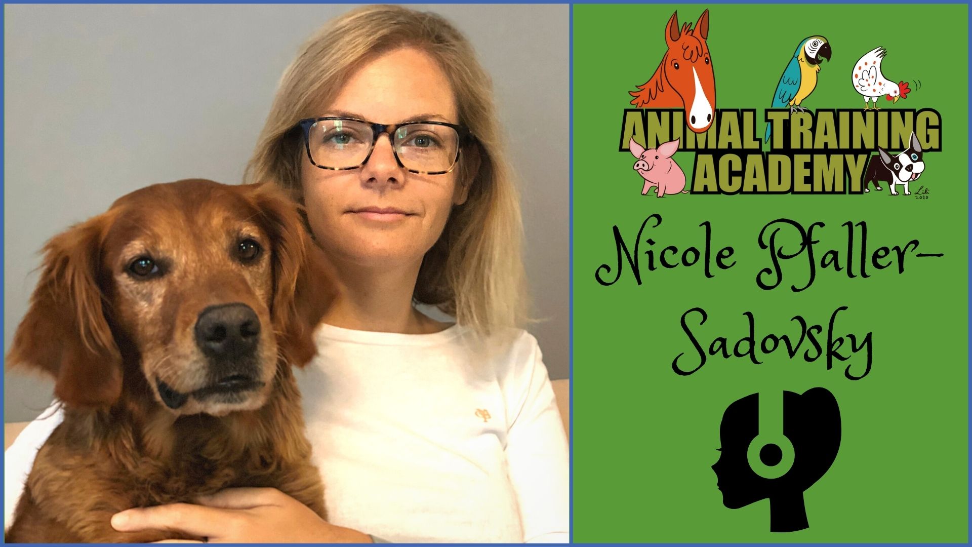 ‘Bird-less’ gun-dog training; Nicole Pfaller-Sadovsky [Episode 198 ...