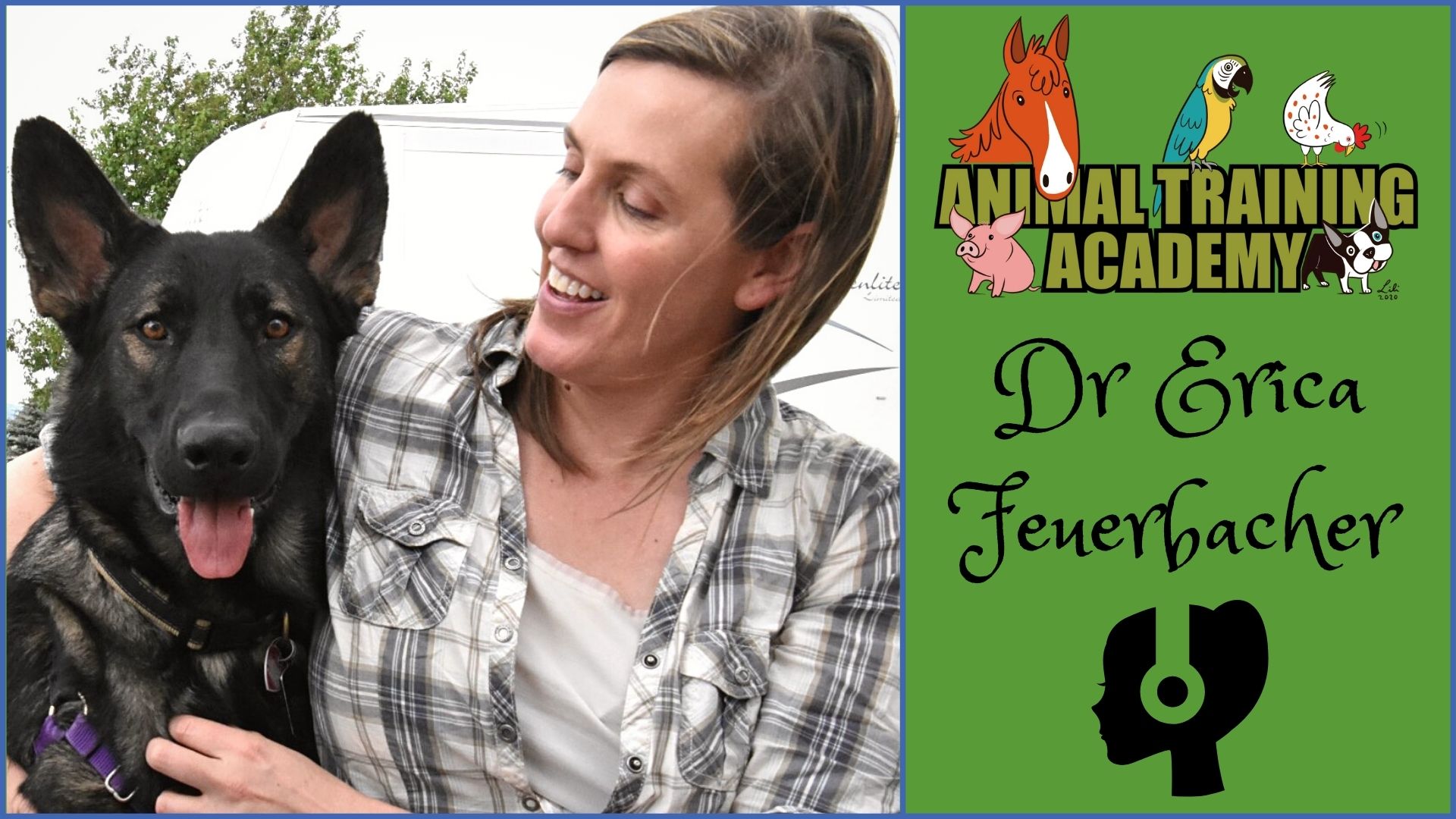 Dr Erica Feuerbacher – Prong & shock collars [literature review] & social interaction as a ...