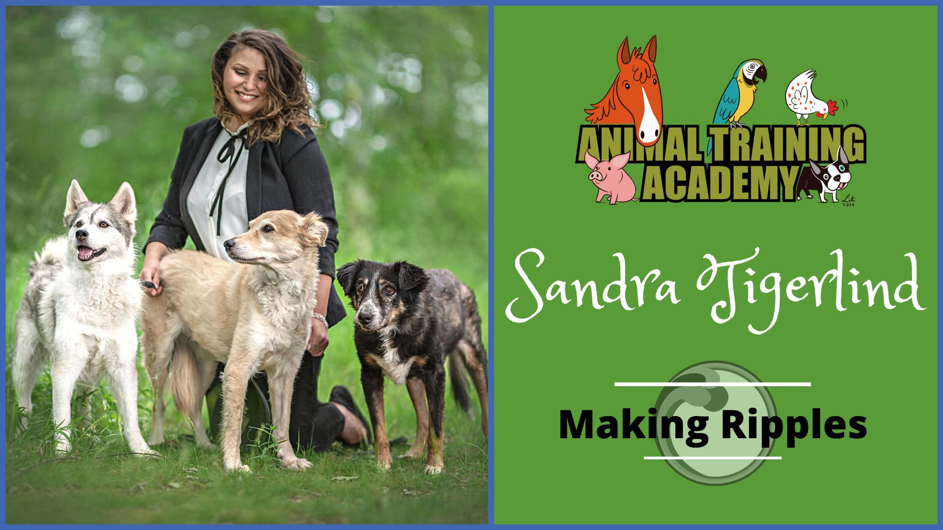 Sandra Tigerlind – Black dog Foundation Helping Ukraine [Episode 32 ...