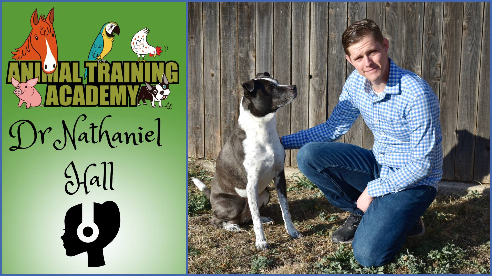 Dr Nathaniel Hall; Rethinking canine olfaction: A fresh perspective ...