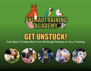 Unstuck eBook | Animal Training Academy